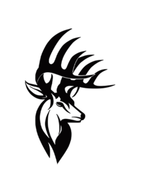 Paul Nutt - Official Website